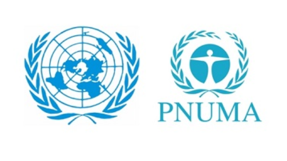 Programa de las Naciones Unidas para el Medio Ambiente - Carlos Felipe ...