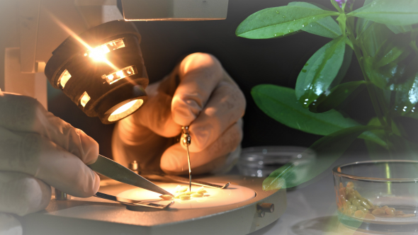 Biología Forense: Ciencia al Servicio de la Justicia - Carlos Felipe ...